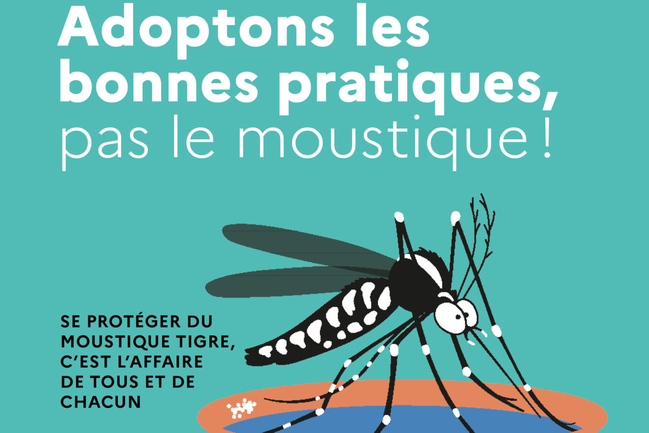 LA VILLE LUTTE CONTRE LES MOUSTIQUES TIGRES – Site officiel de la ville ...